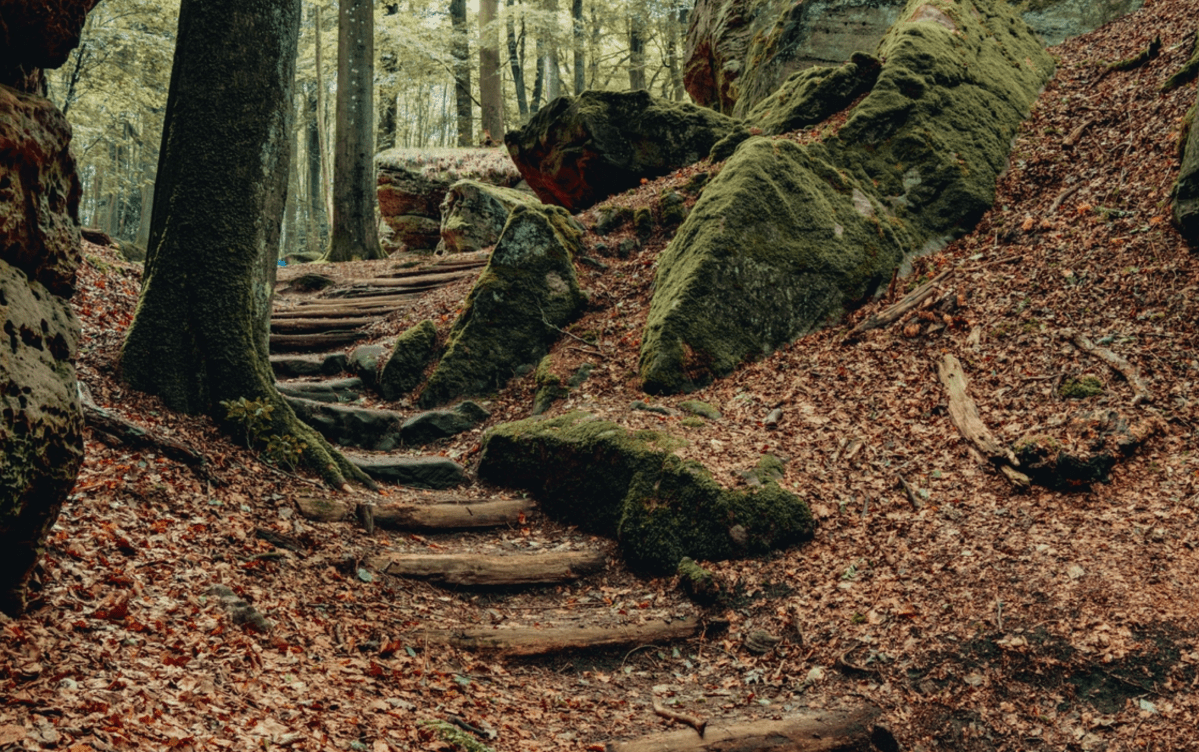 Onze expertises – Serdobbel Psychiatrie & Psychotherapie